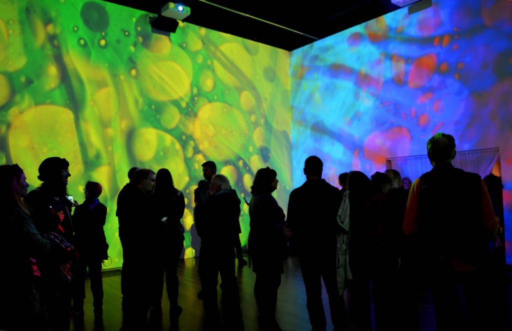The Summer of Love Experience: Art, Fashion, and Rock & Roll - Bill Ham ...
