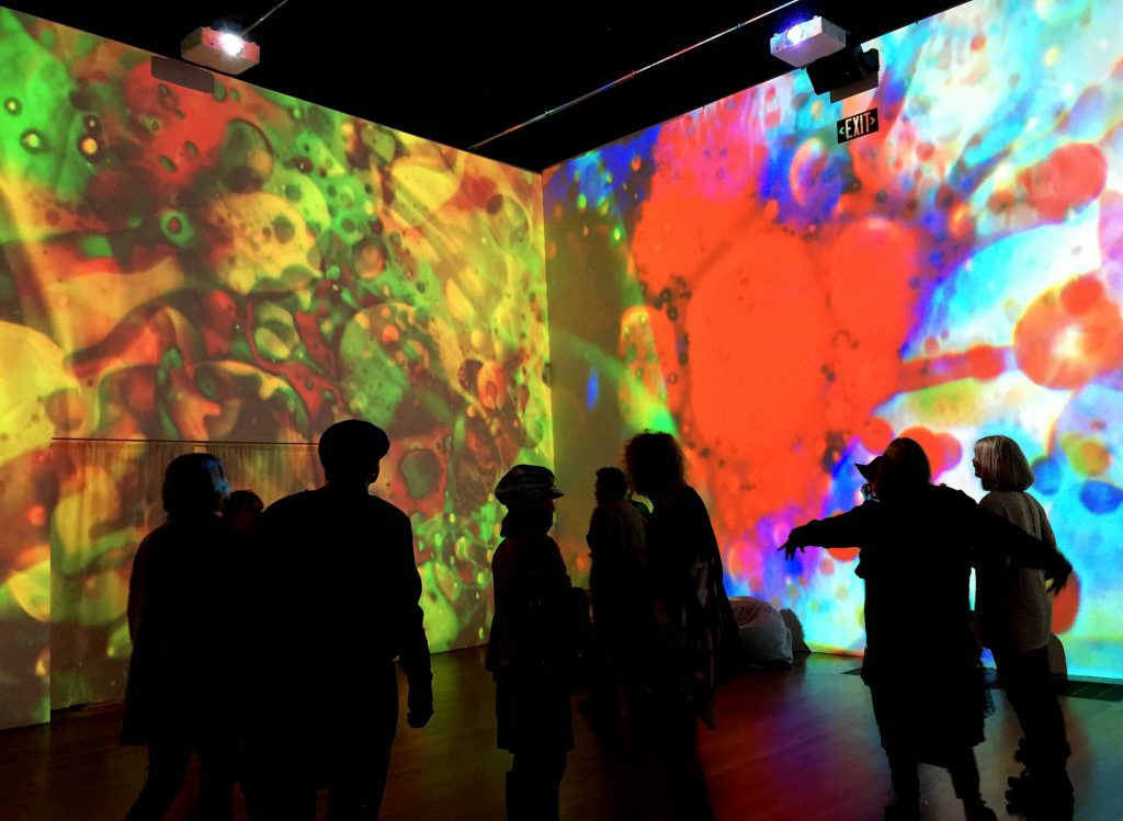 The Summer of Love Experience: Art, Fashion, and Rock & Roll - Bill Ham ...