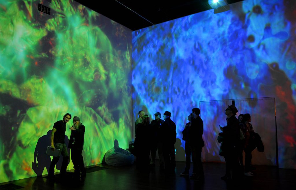 The Summer of Love Experience: Art, Fashion, and Rock & Roll - Bill Ham ...