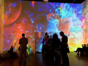 The Summer of Love Experience: Art, Fashion, and Rock & Roll - Bill Ham ...