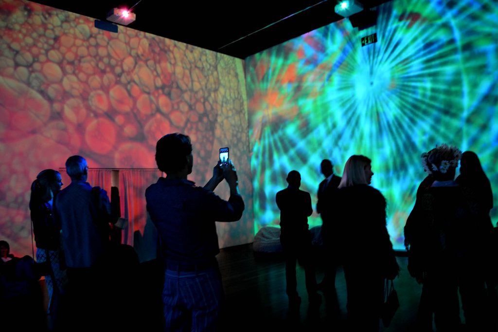The Summer of Love Experience: Art, Fashion, and Rock & Roll - Bill Ham ...