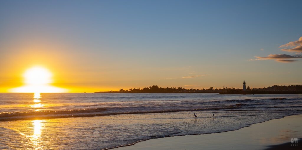 Photography - 20211230 Sunset and Egret at Santa Cruz Breakwater ...