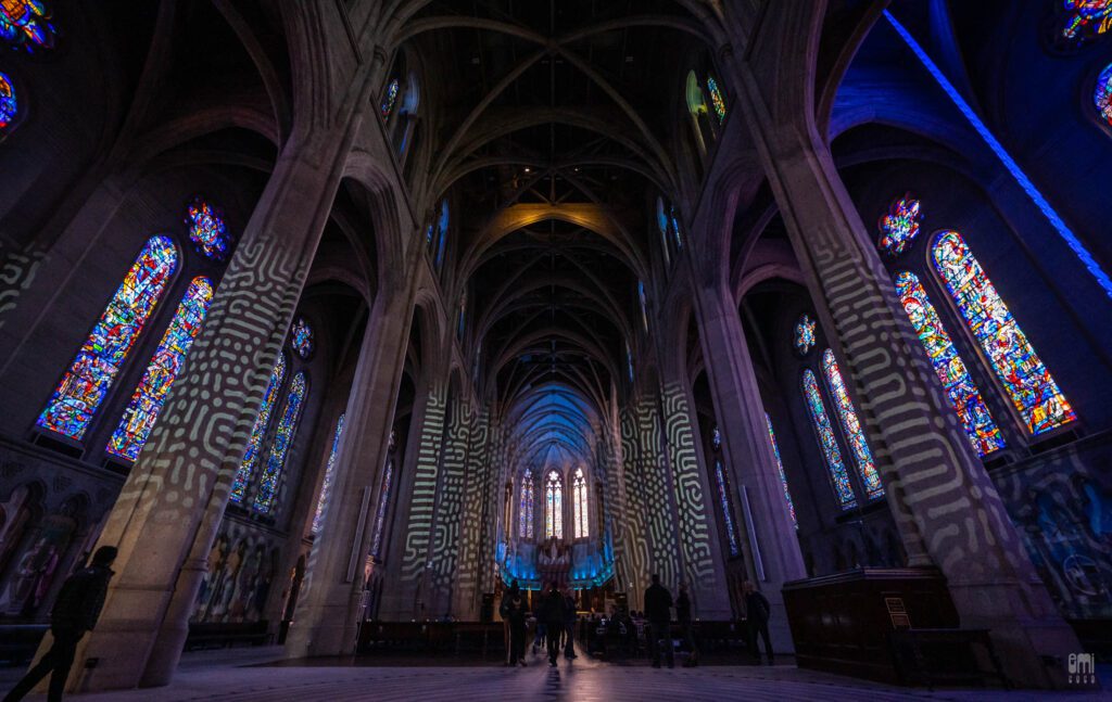 Photography - 2023.7.7 As You Like It and Grace Cathedral Presents ...